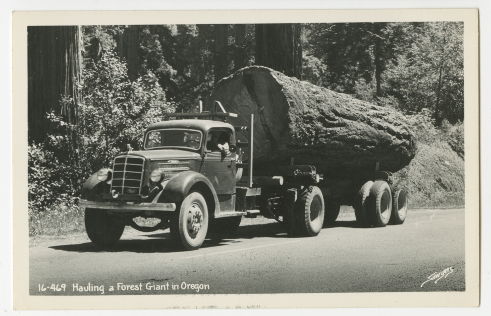 Early Logging Years – Port Orford Historical Photos